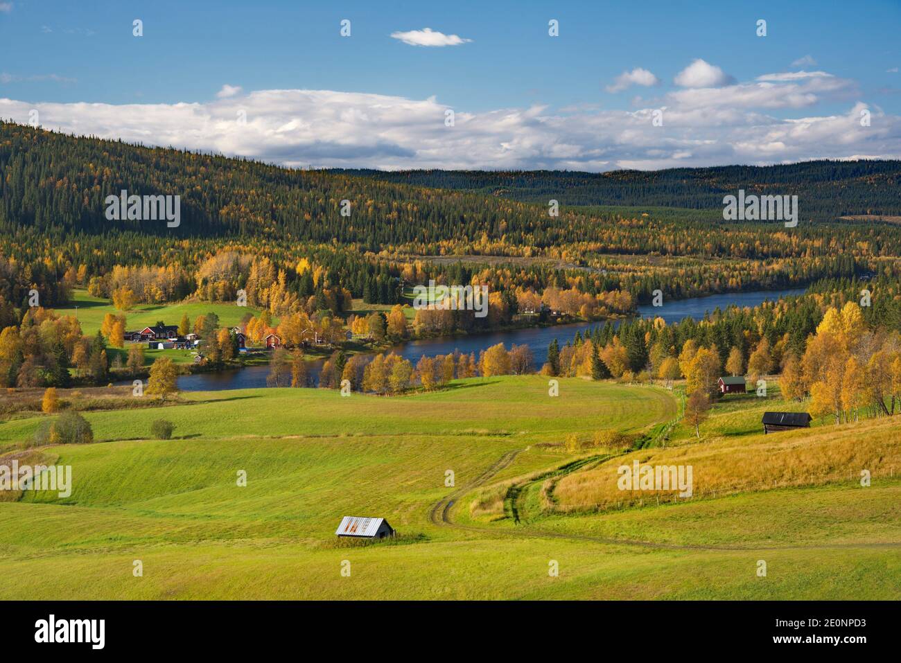 Are duved hi-res stock photography and images - Alamy
