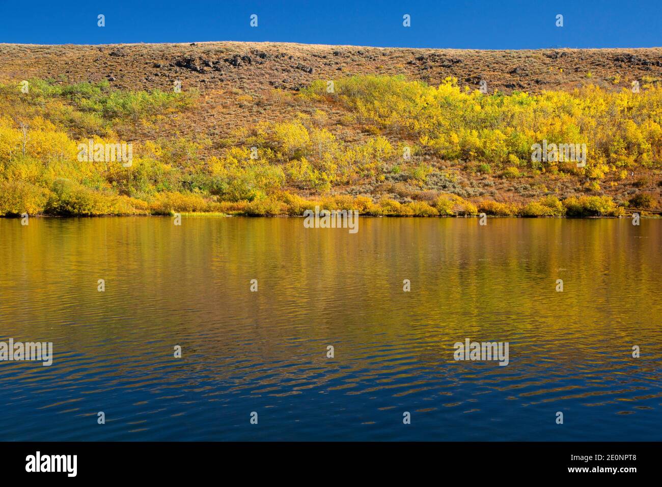 Fish mountain hi-res stock photography and images - Alamy