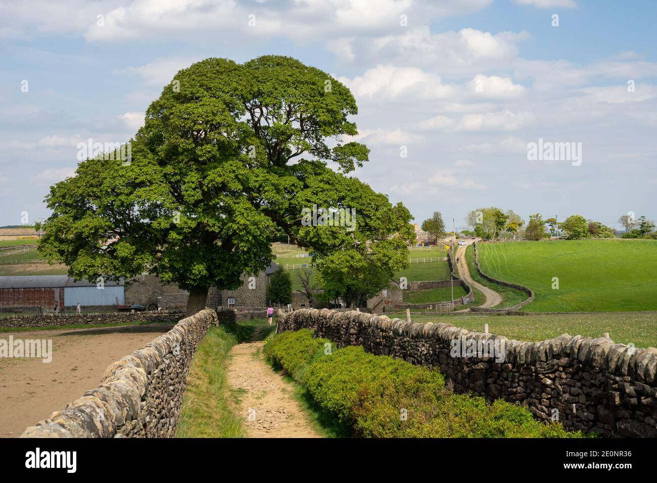 Rural Scenic Landscape - Penistone, England, UK Stock Photo - Alamy