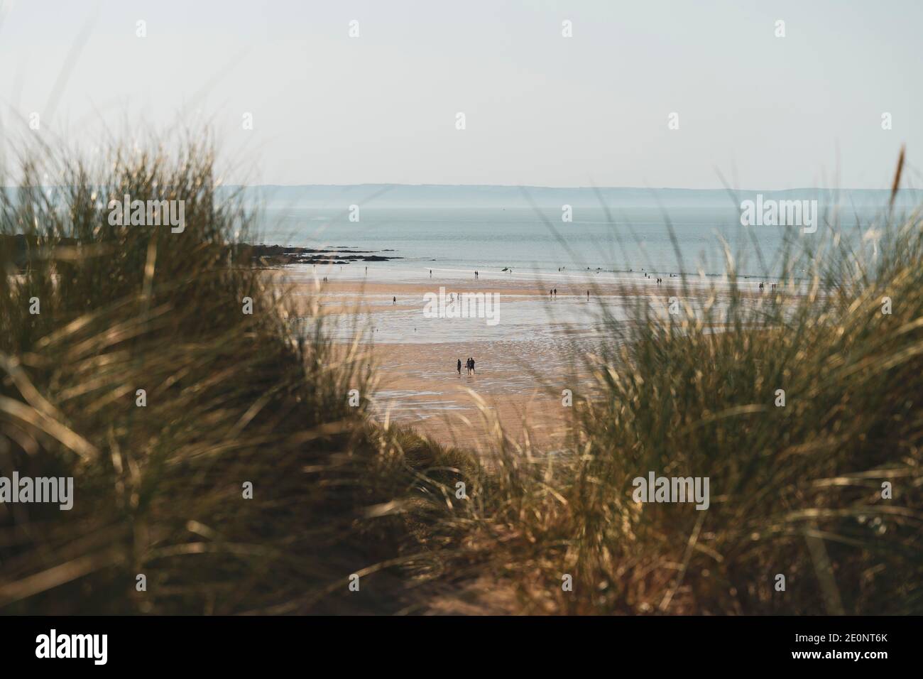 Sand Dunes at Croyde Bay, Devon, England, UK Stock Photo - Alamy