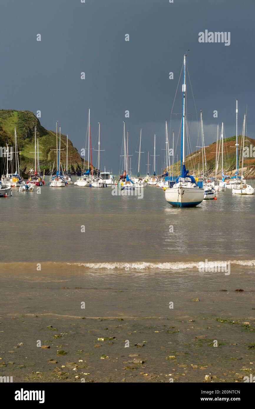 Watermouth Bay - Devon, England, UK Stock Photo - Alamy