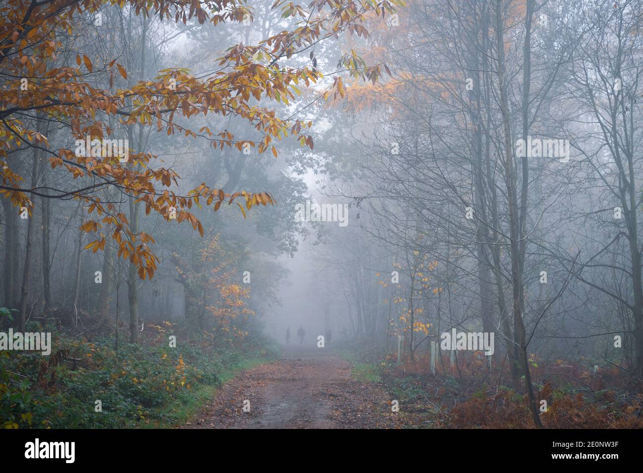 Bagger wood hi-res stock photography and images - Alamy