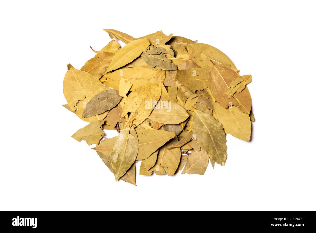 Laurel dried leaves, latin name Laurus nobilis heap close-up view on a ...