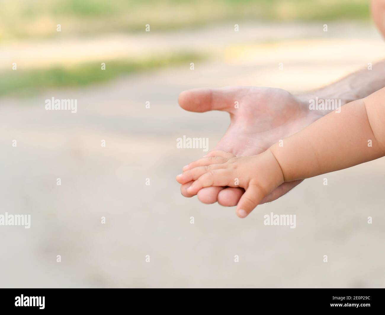 little baby hand with father's hand on light background with copy space ...
