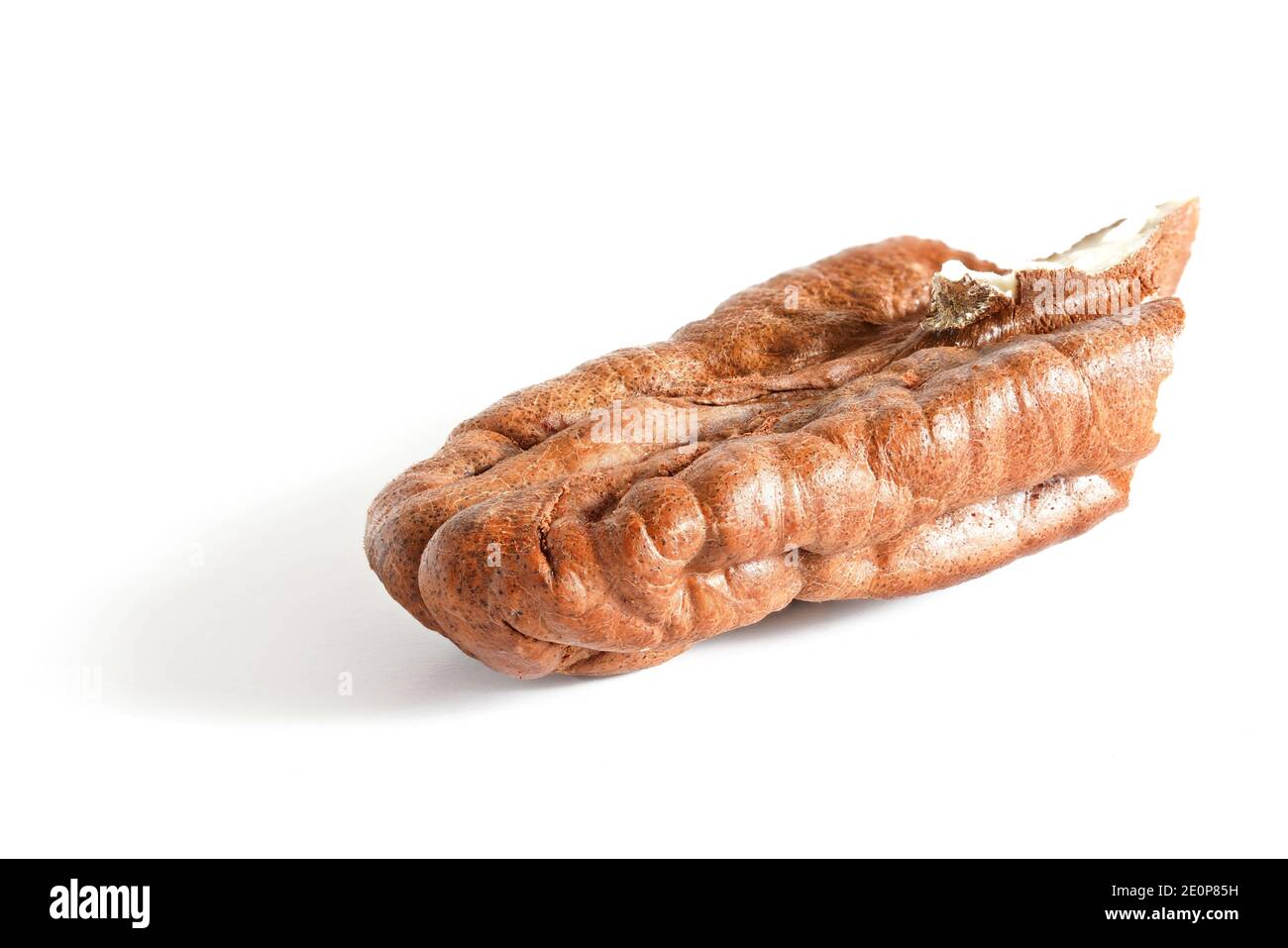 Opened pecan nut kernel without shell isolated on white background ...