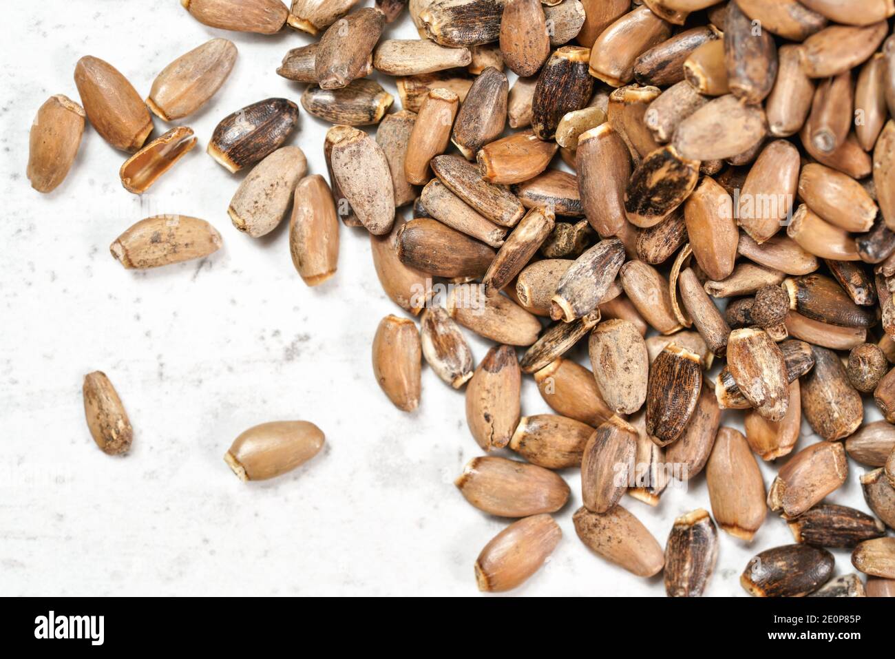 Blessed milk thistle seeds - Silybum marianum - on white stone like ...