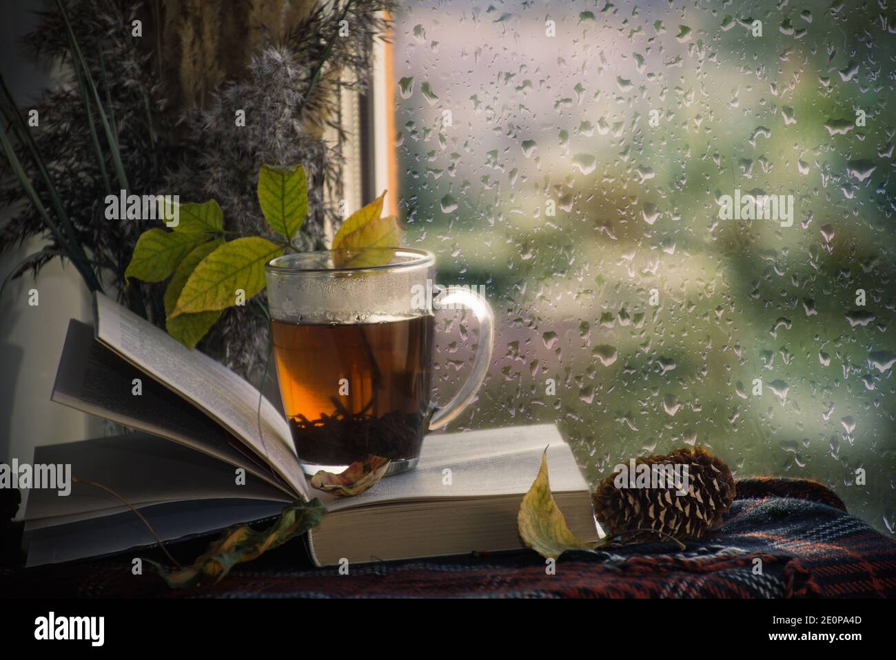 autumn mood: tea with a book by the window with raindrops Stock Photo ...