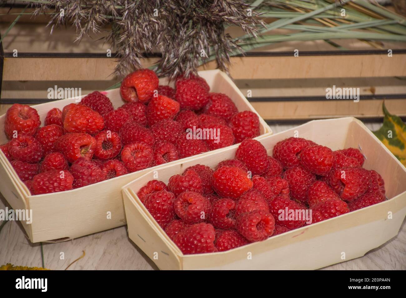 fresh raspberry in a natural birch bark box Stock Photo - Alamy