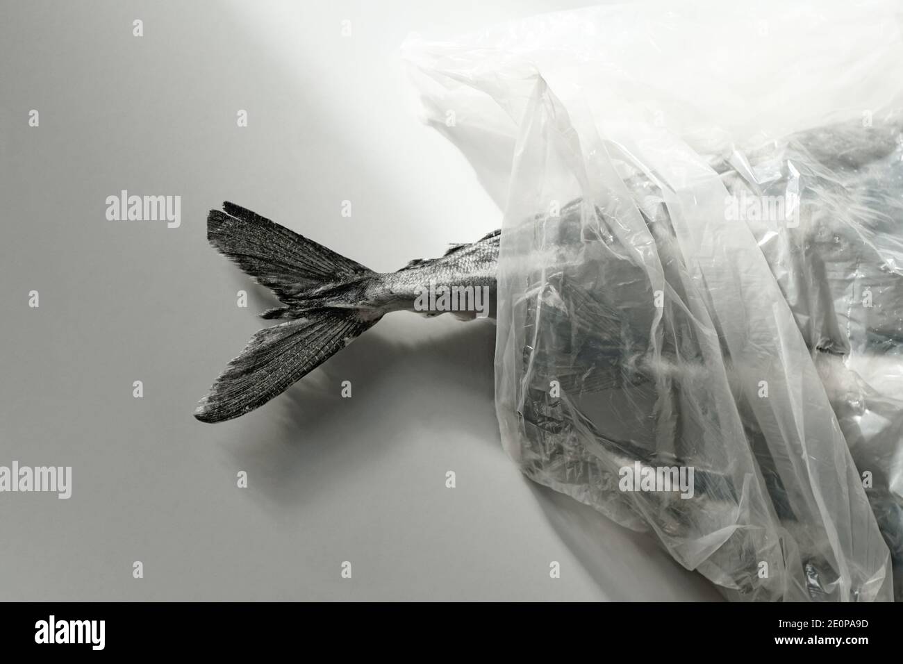 Plastic pollution fish hi-res stock photography and images - Alamy