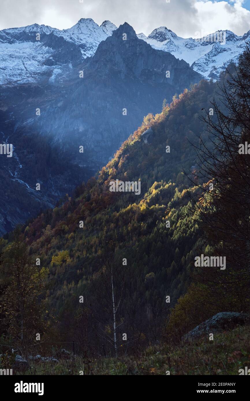 Autumn Foliage in mountain landscape Stock Photo - Alamy