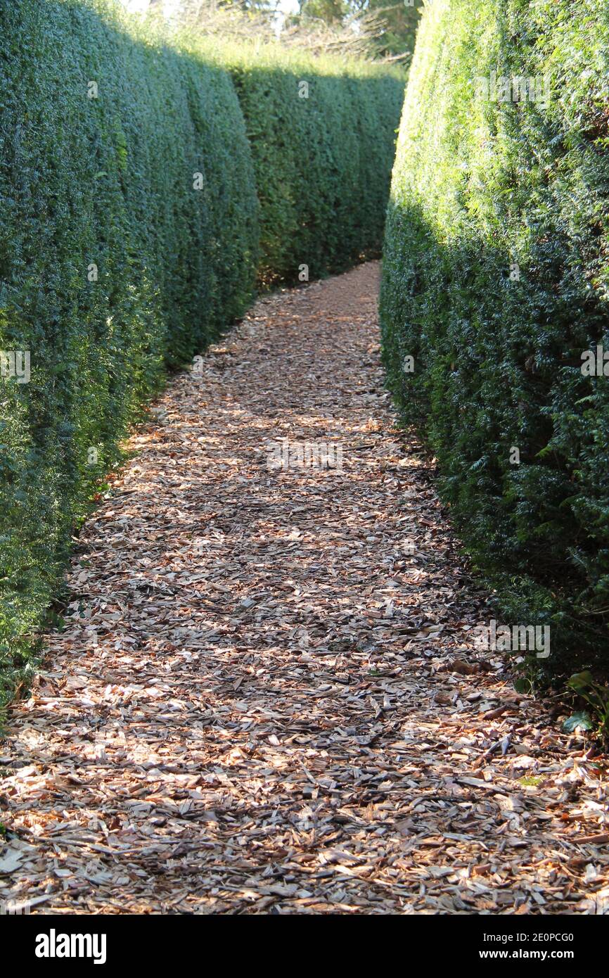 Conservation of hedges hi-res stock photography and images - Alamy
