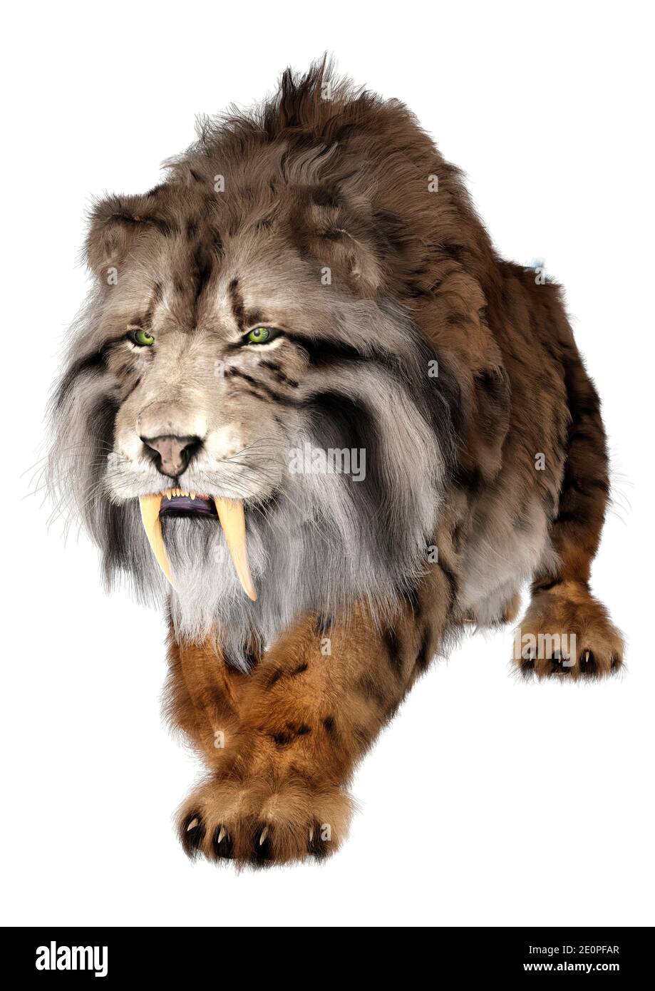 3D rendering of a sabertooth tiger isolated on white background Stock ...