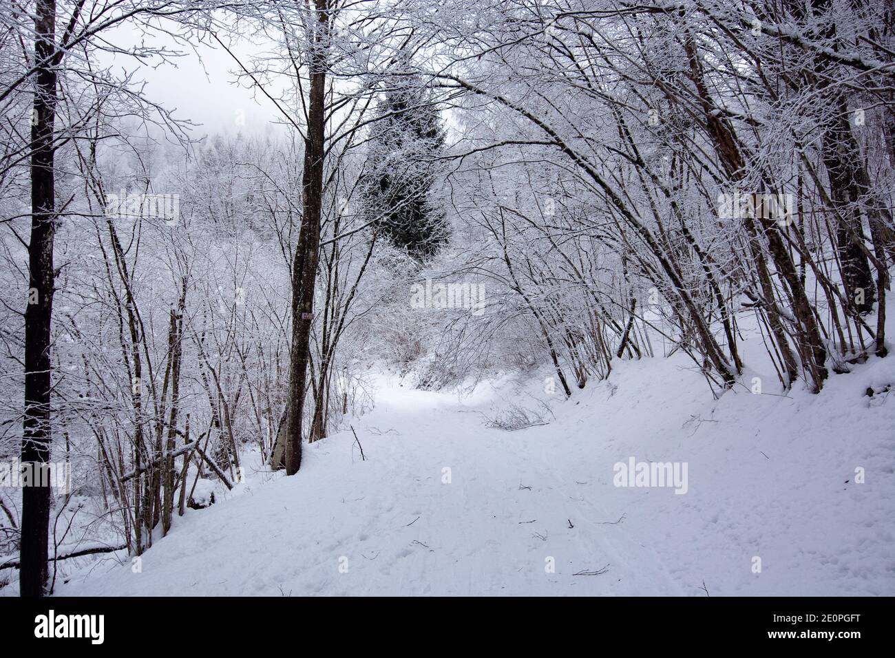 Oslo mont hi-res stock photography and images - Alamy