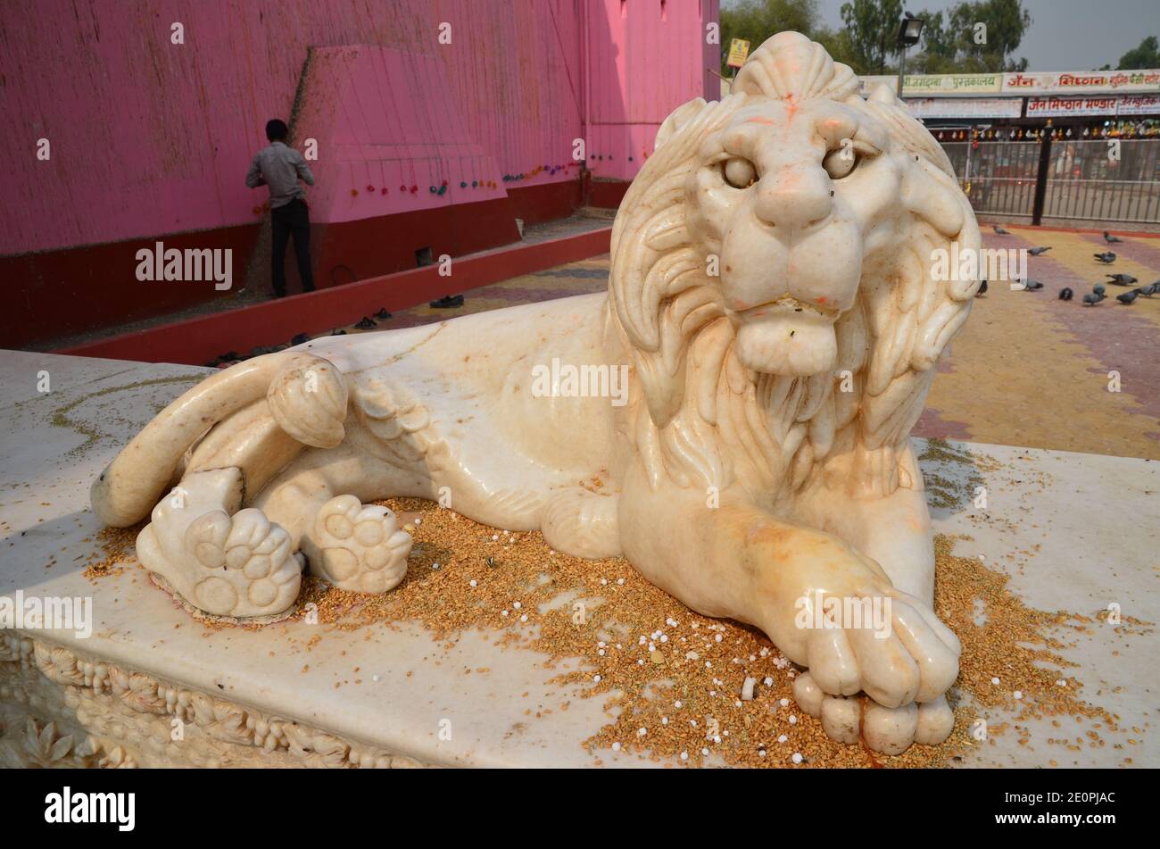 Marble lion guarding the entrance of Karni Mata, the temple of rats at ...