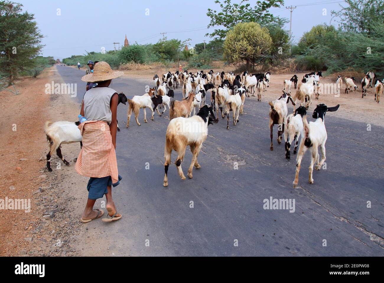 Boy goat child hi-res stock photography and images - Alamy