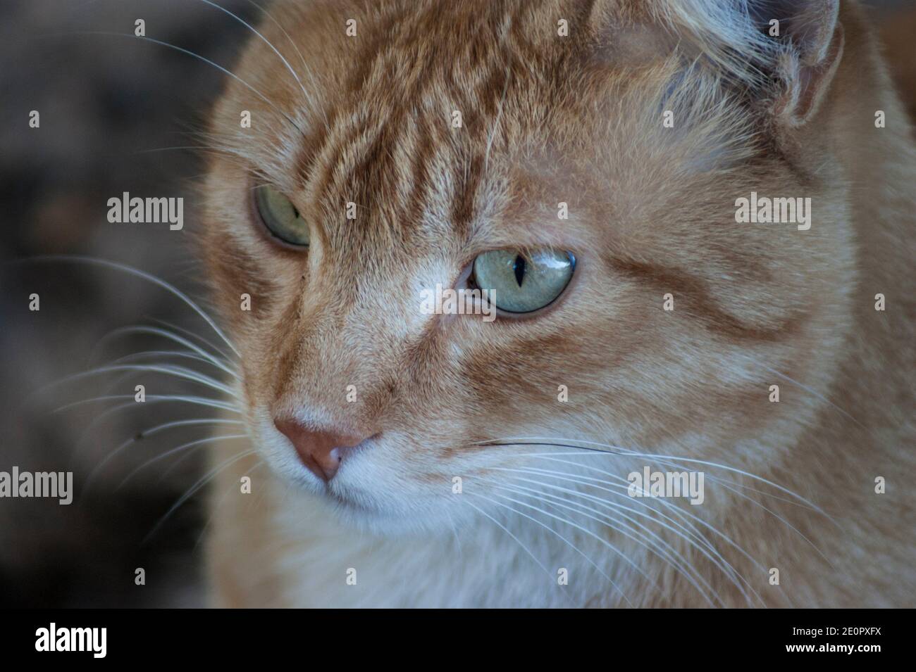 People 3 4 view hi-res stock photography and images - Alamy