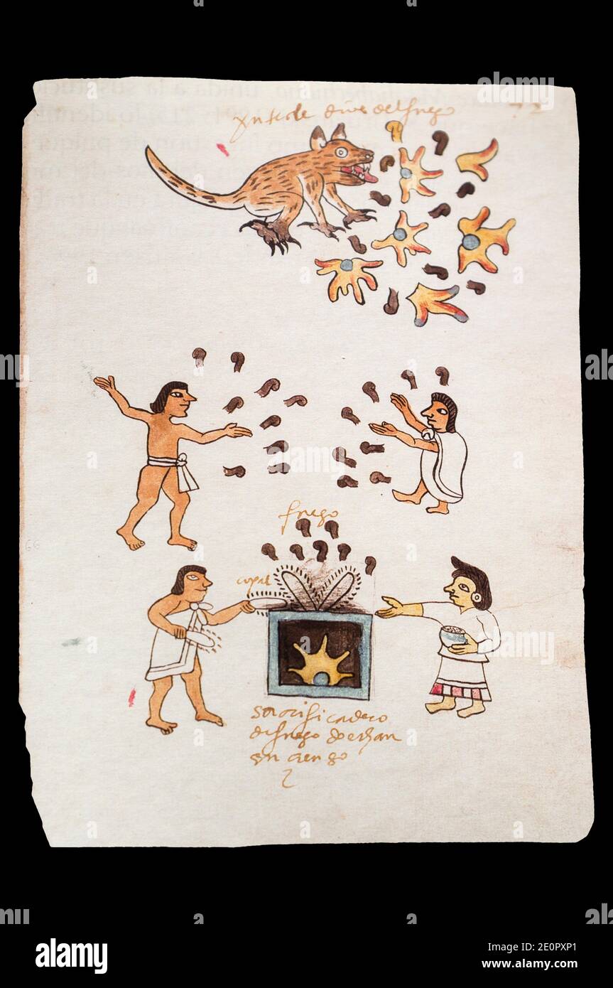 16th Century Pictorial Aztec Codex High Resolution Stock Photography and Images - Alamy