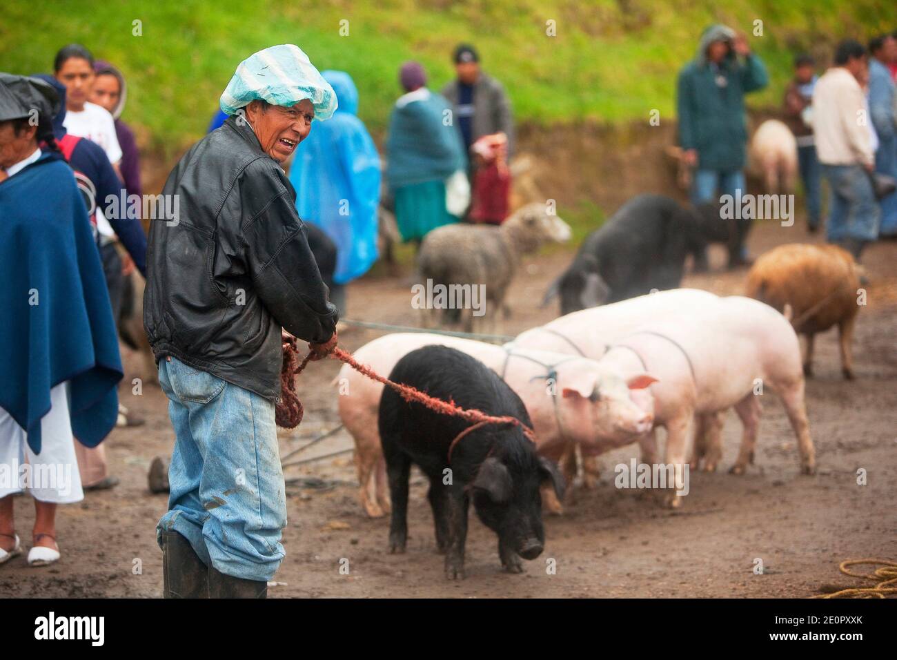 Selling animals hi-res stock photography and images - Alamy