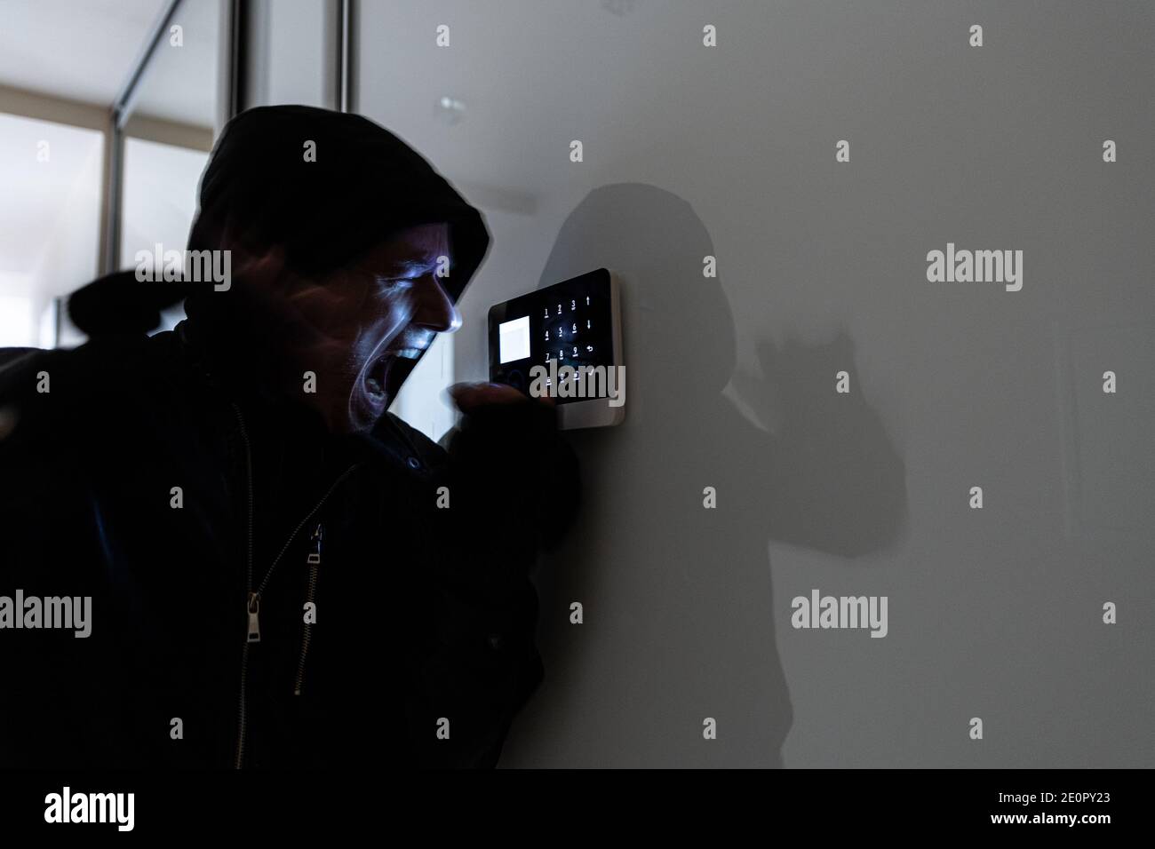 Thief tries disarm alarm hi-res stock photography and images - Alamy