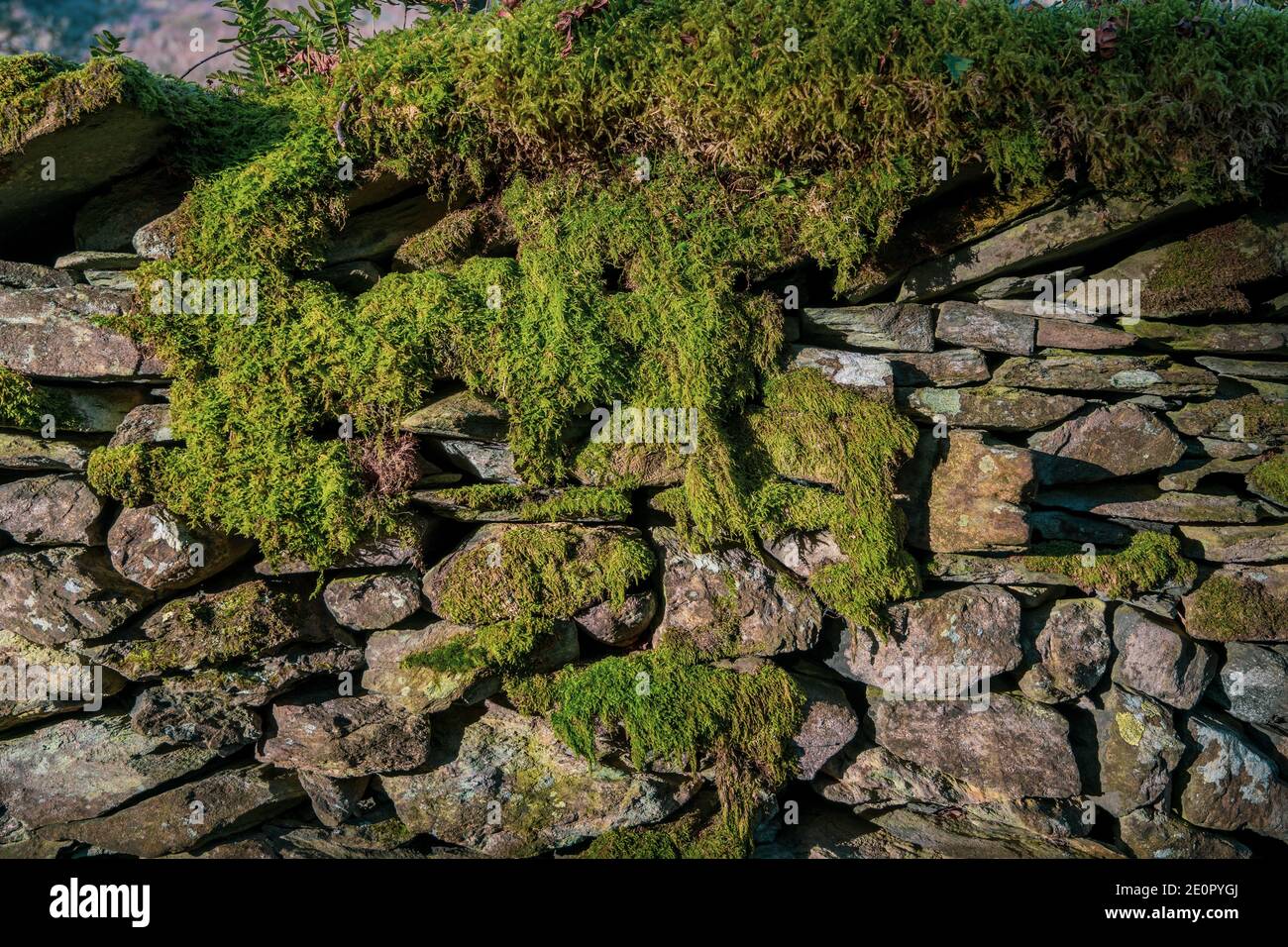 Beautiful patterns in stone hi-res stock photography and images - Alamy