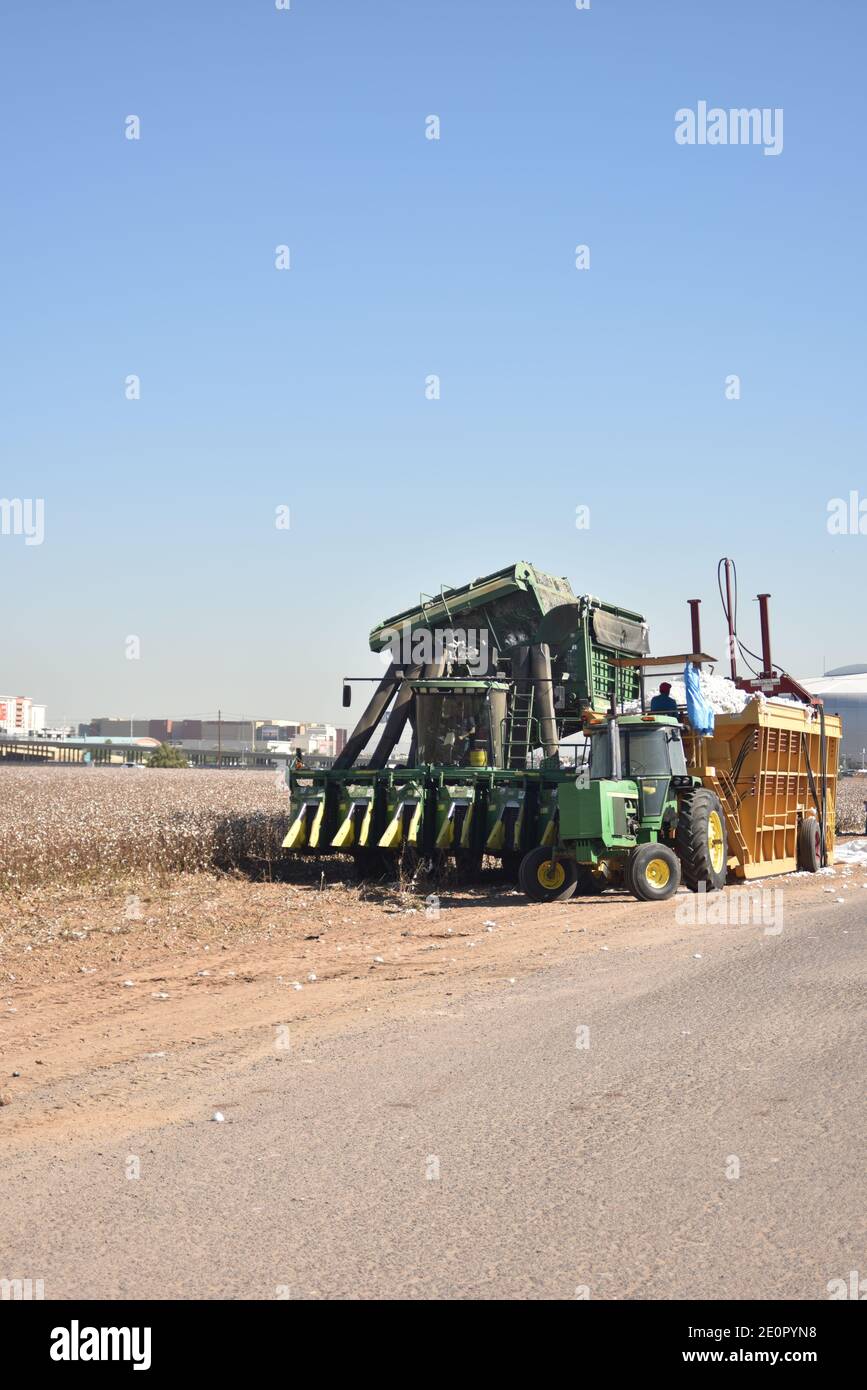 Glendale, AZ. U.S.A. 11/18/2020. MK FARMS John Deere 9985 cotton ...