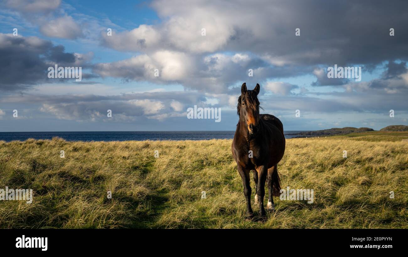 Islay beaches hi-res stock photography and images - Alamy