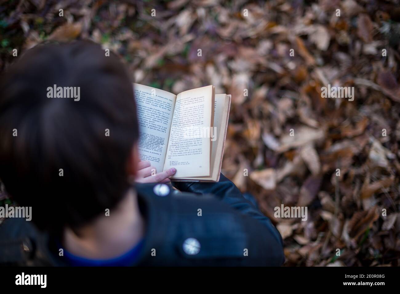 little boy reads a book leaning against a tree-pleasure of reading ...