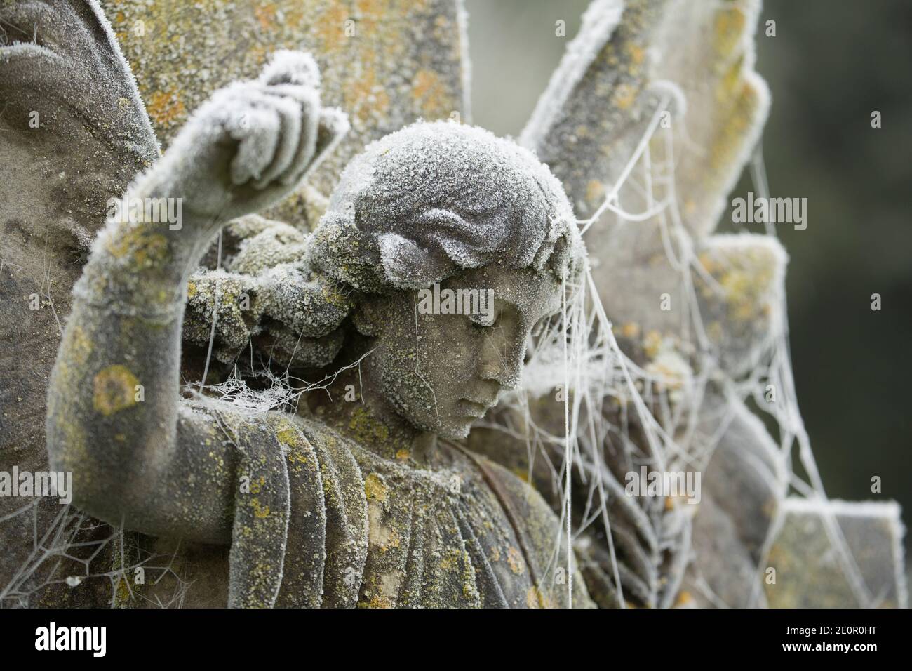 A carved stone angel in a Garden of Remembrance covered in frost and ...