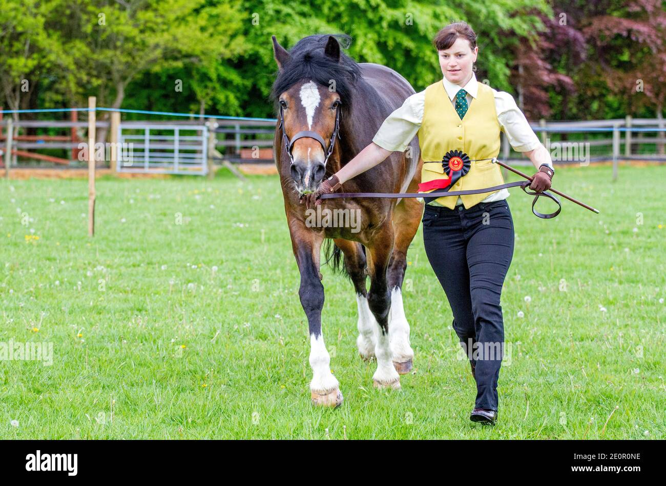 Inchcoonans Equestrian is Perthshire’s Premier Competition Yard ...