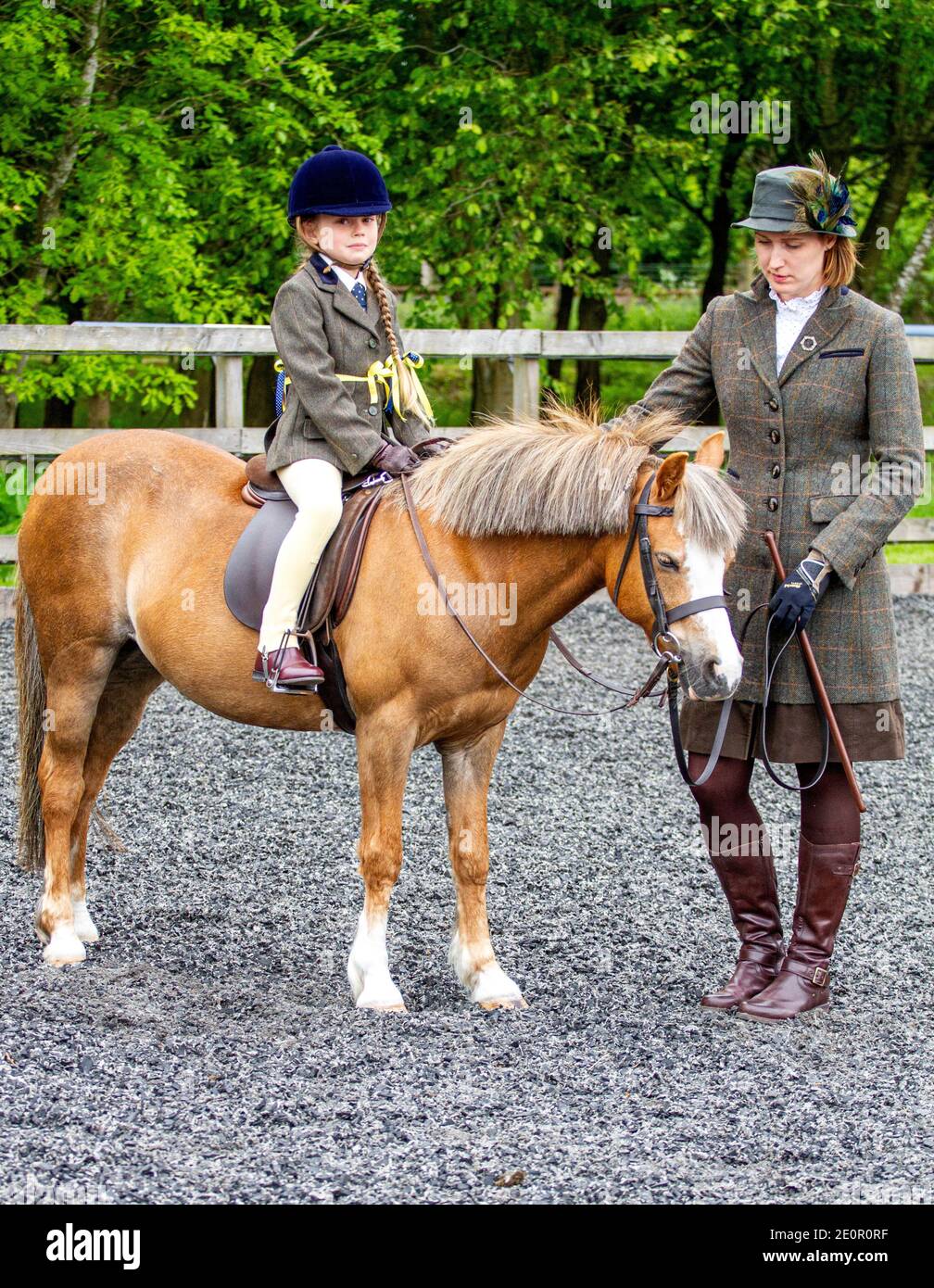 Inchcoonans Equestrian is Perthshire’s Premier Competition Yard ...