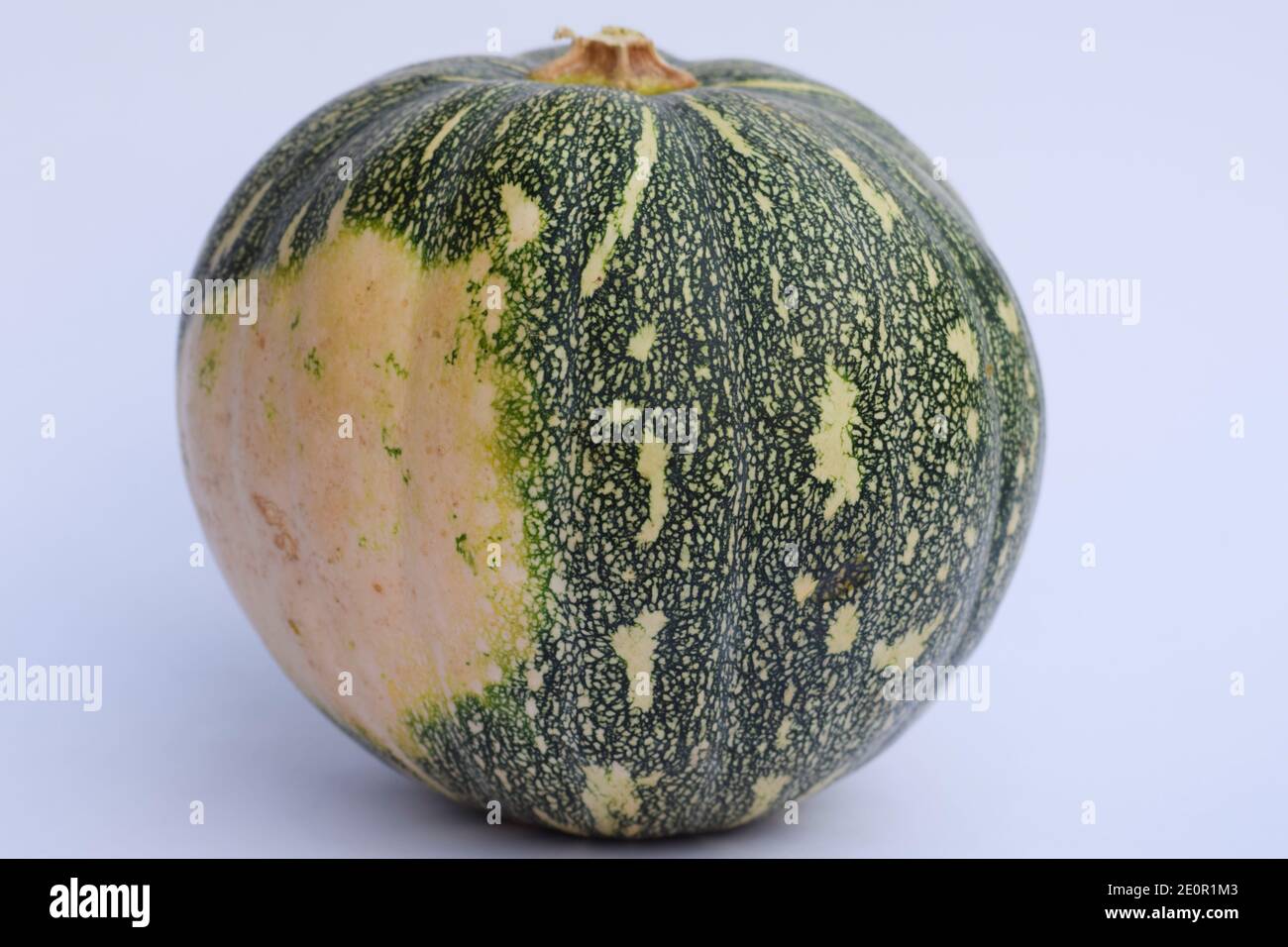 Pumpkin Raw Indan fruit also used as vegetable for lunch dinner curry ...