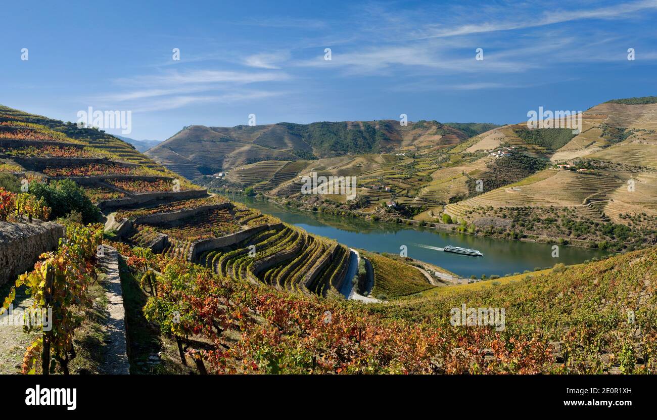 Portugal vale do douro valley vineyards hi-res stock photography and ...