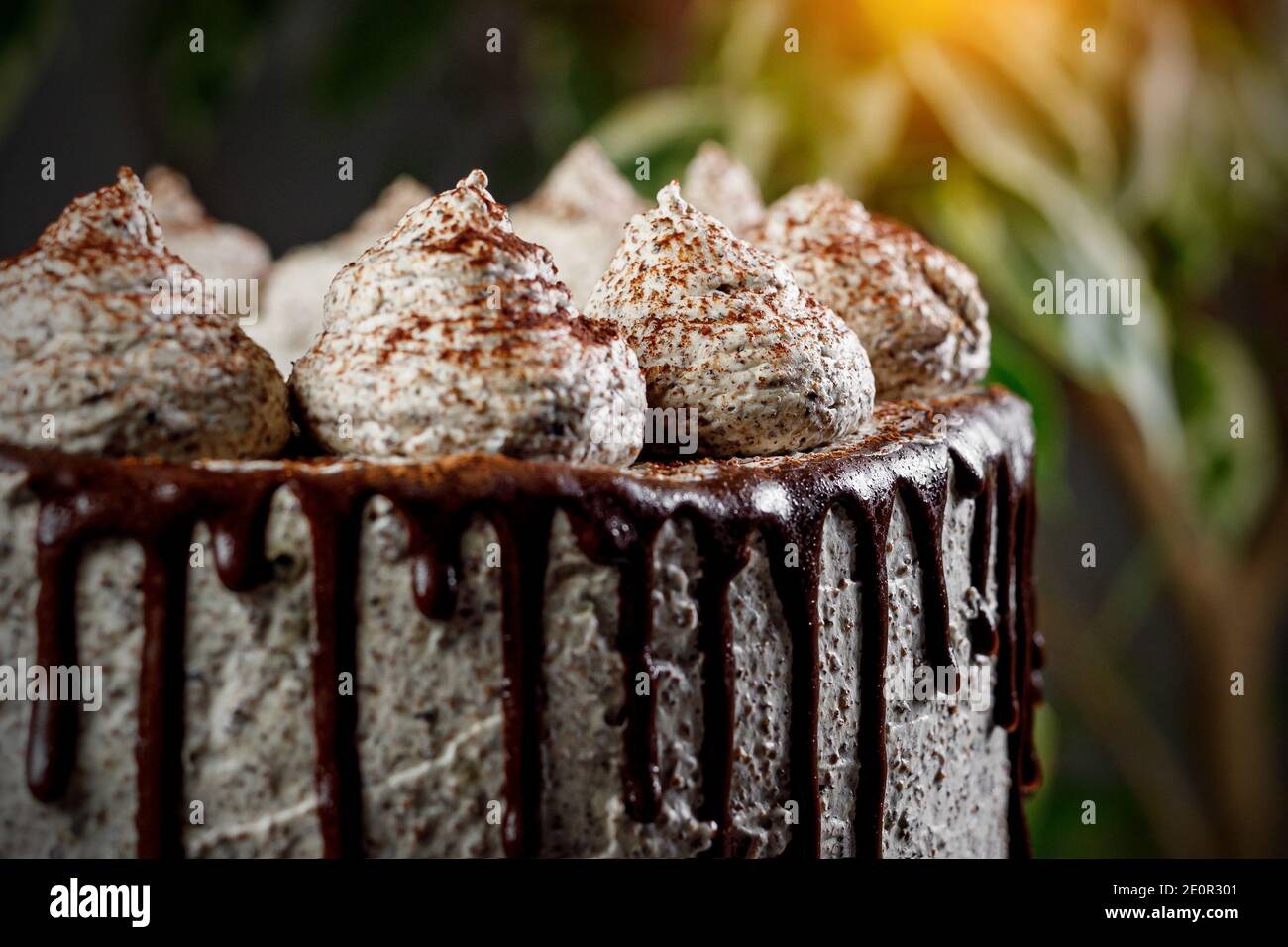 Cream cake side view. Melted chocolate and piped dots Stock Photo - Alamy