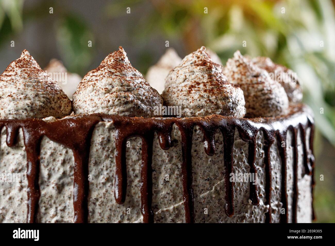 Cream cake side view. Melted chocolate and piped dots Stock Photo - Alamy