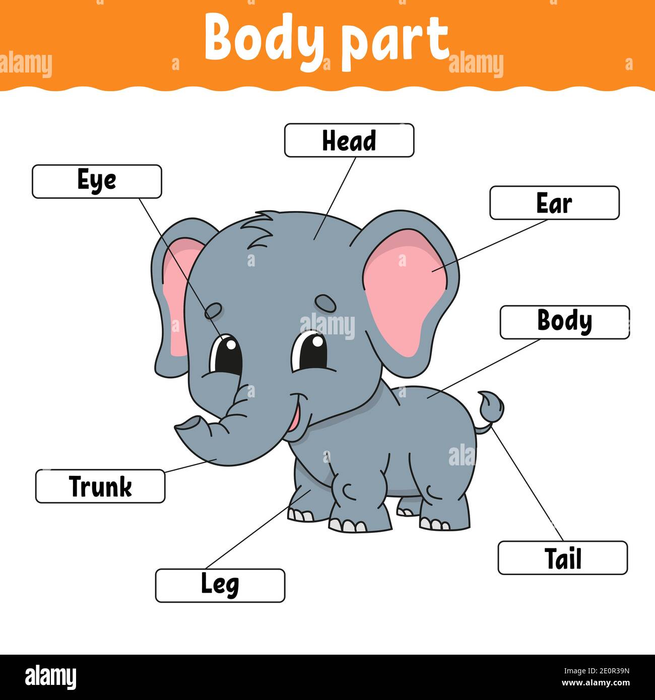Body part. Learning words. Education developing worksheet. Activity ...