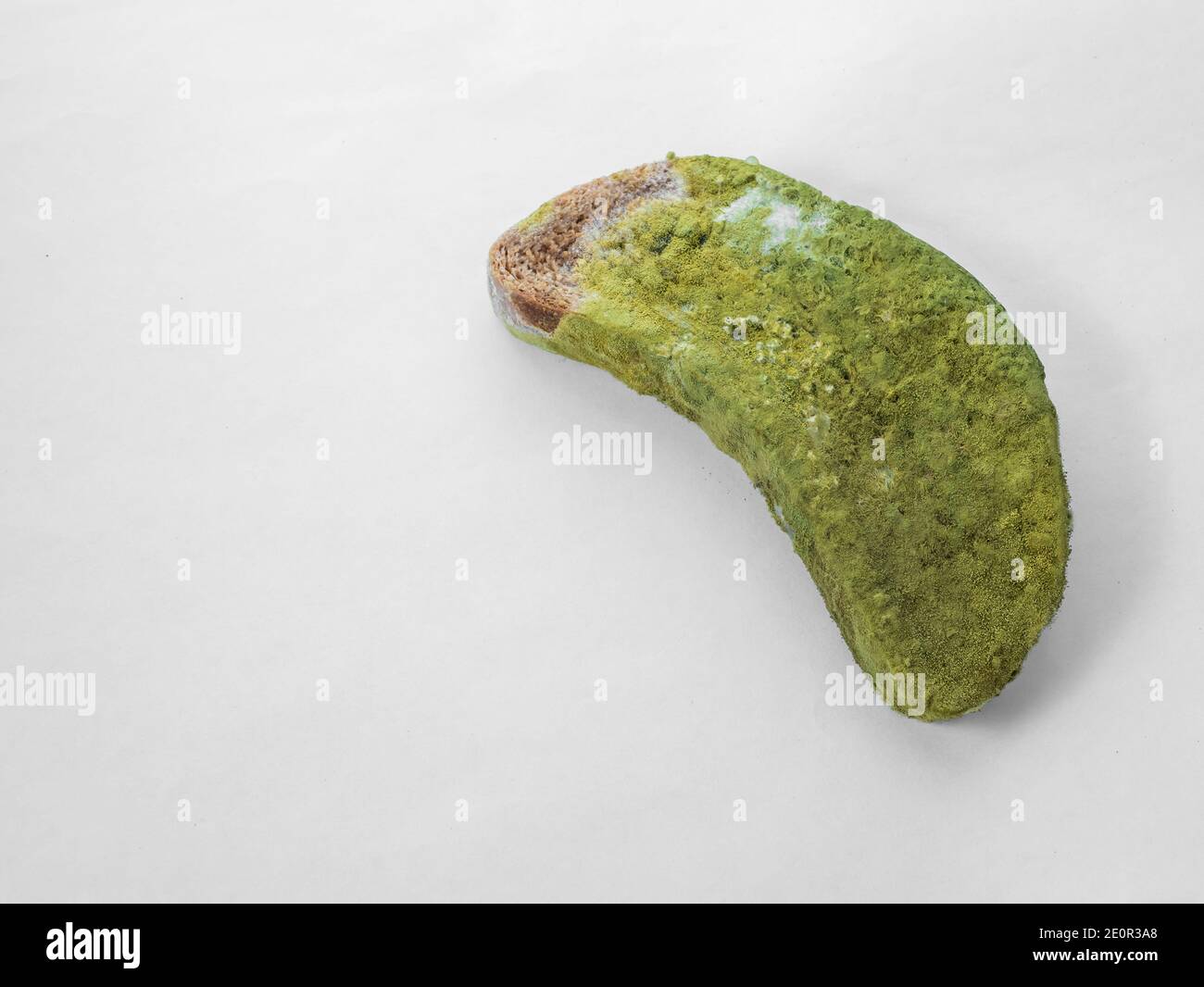 A piece of bread covered with green mold on a white background isolate ...