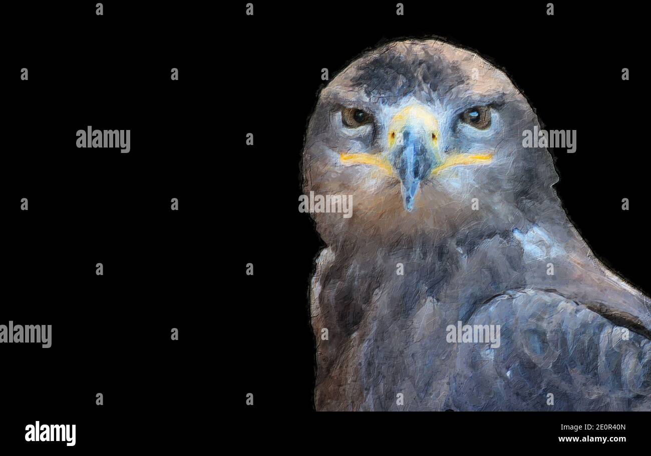 Illustration of a blue Eagle front face head isolated on a black ...