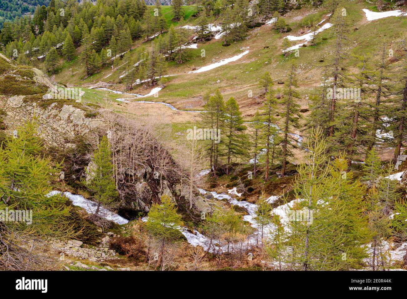 A glacial valley in the Hautes-Alpes.A torrent resulting from the ...
