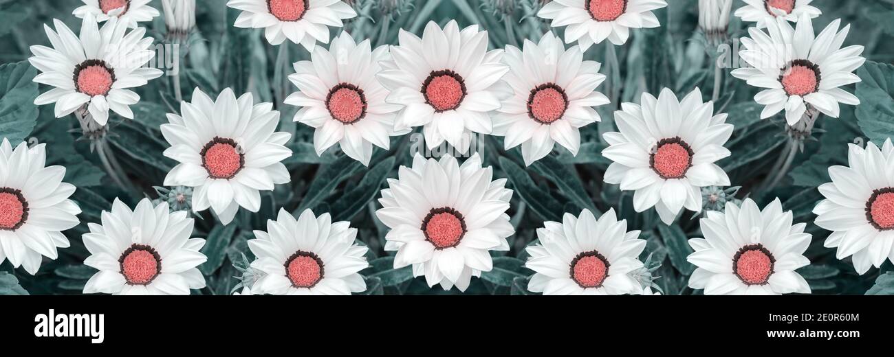 Widescreen white background hi-res stock photography and images - Alamy