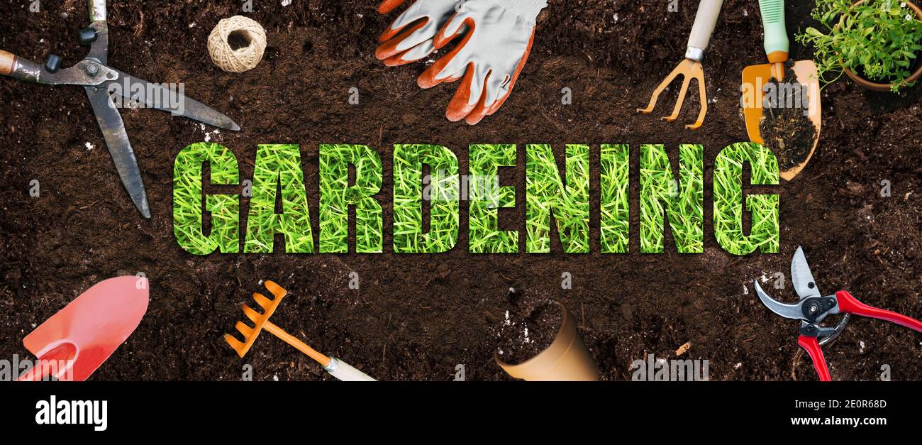 Gardening concept banner illustration with tools and seedlings on soil ...