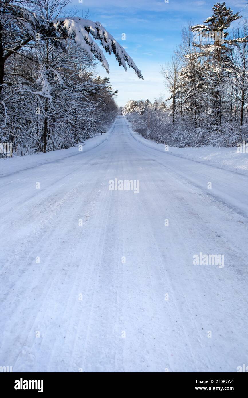 Snow covered road and forest in central Wisconsin in January, vertical ...