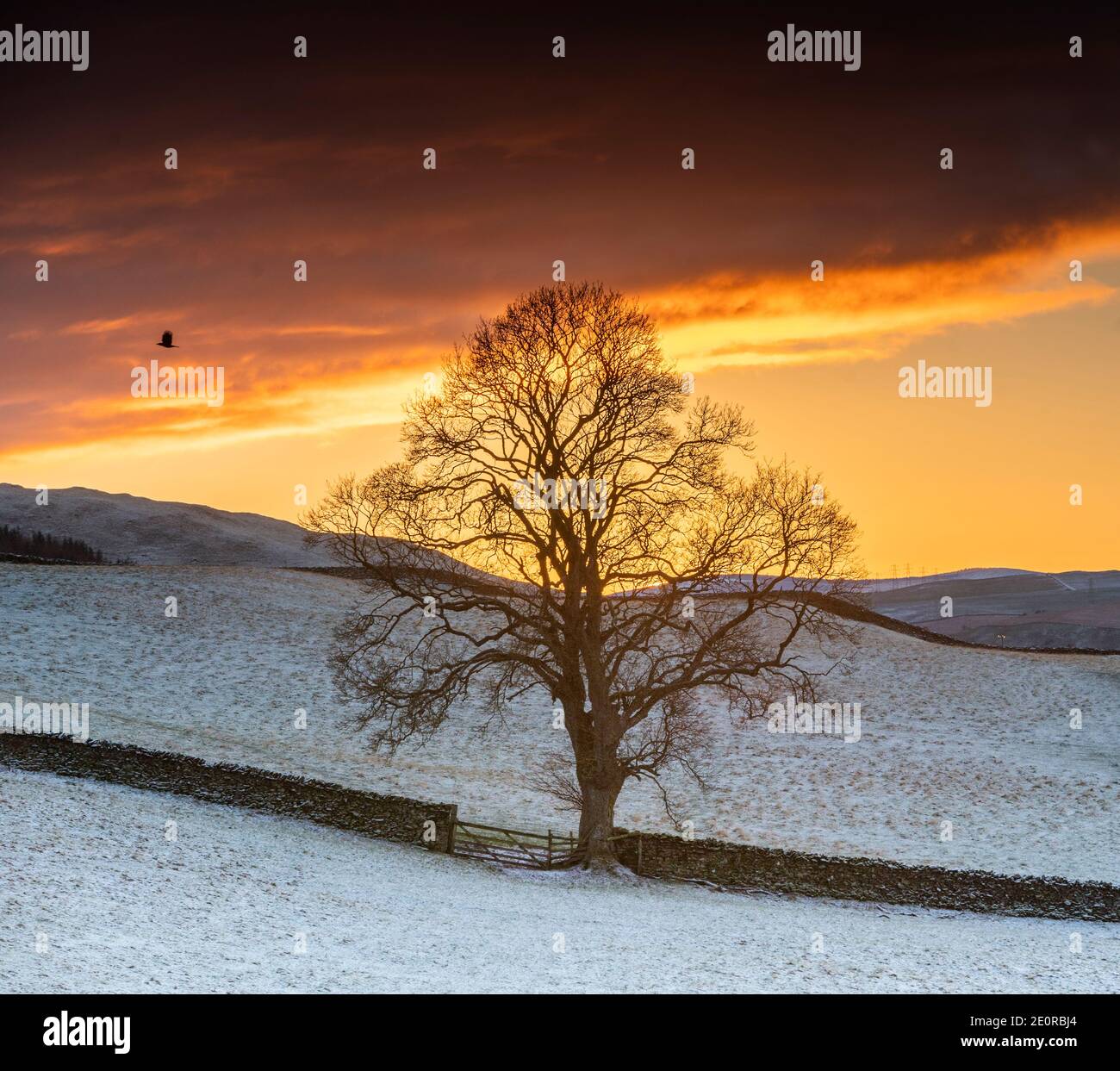 Hawick moor hi-res stock photography and images - Alamy