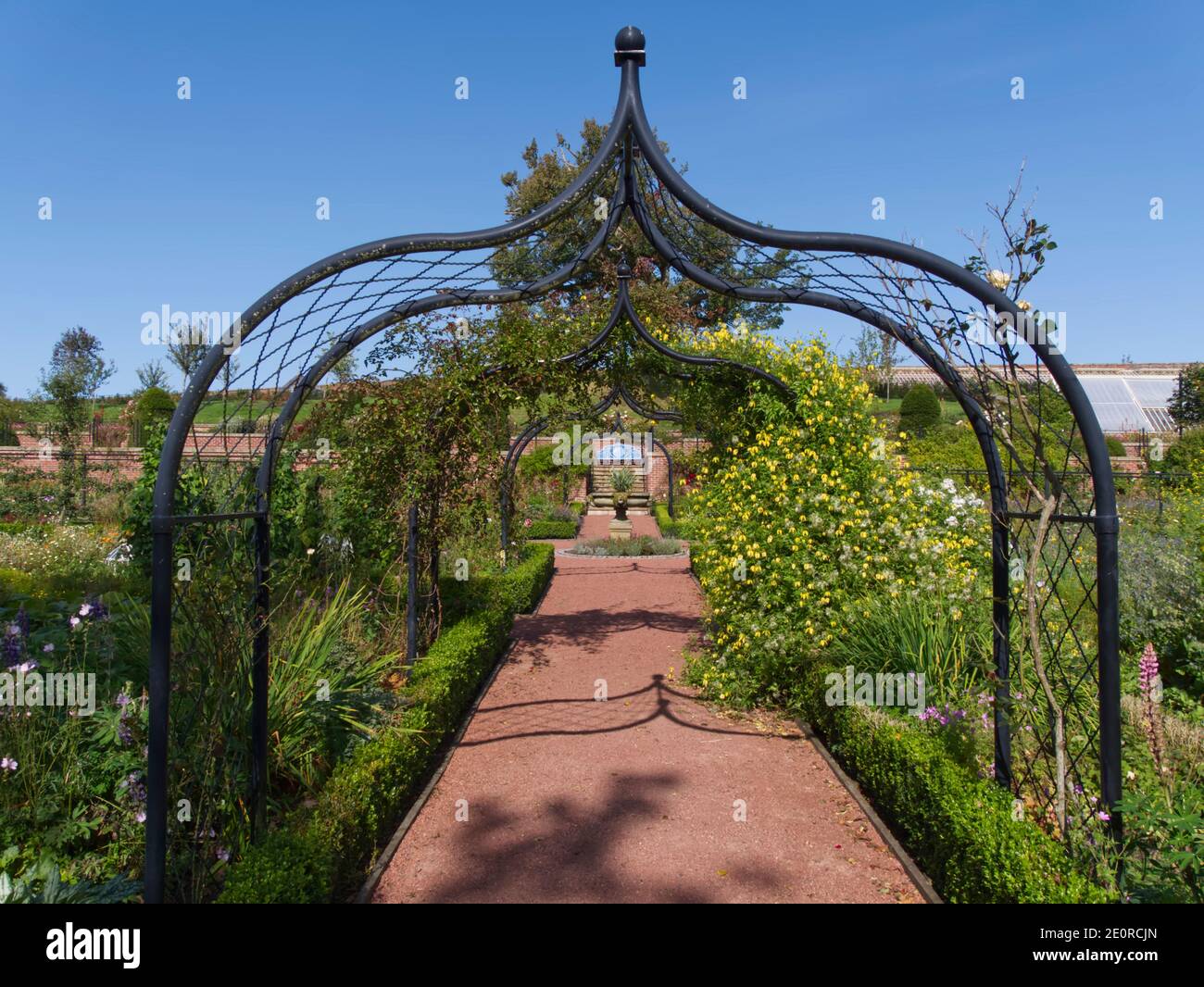 Pergola in the Queen Elizabeth Walled Gardens, Dumfries House estate ...
