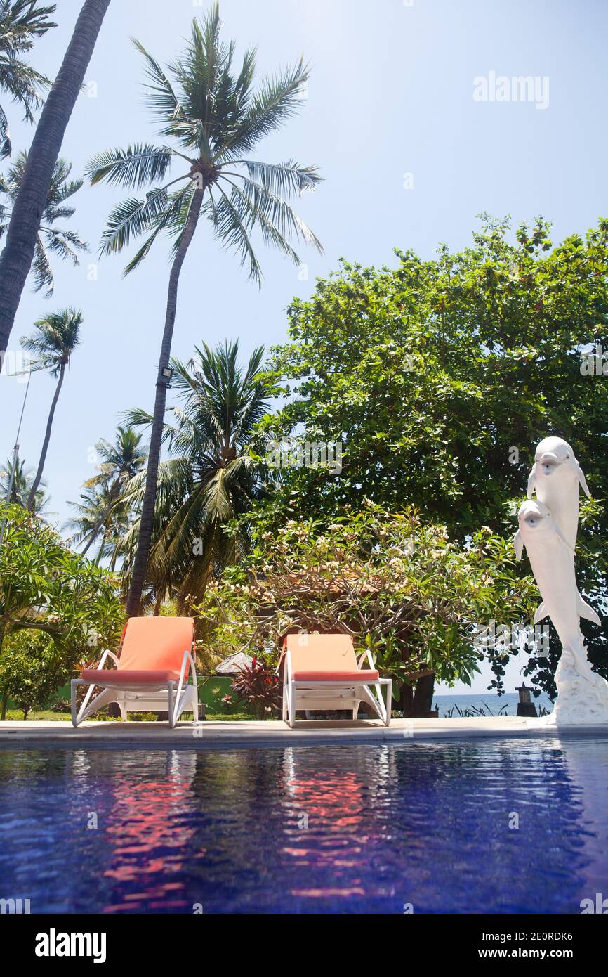 Sun chairs at the pool. Plastic sun loungers for tourists Stock Photo ...