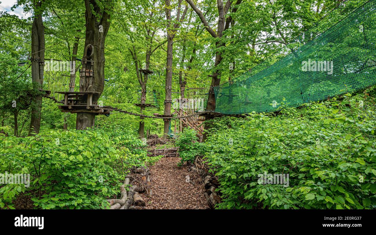 Baum podest hi-res stock photography and images - Alamy