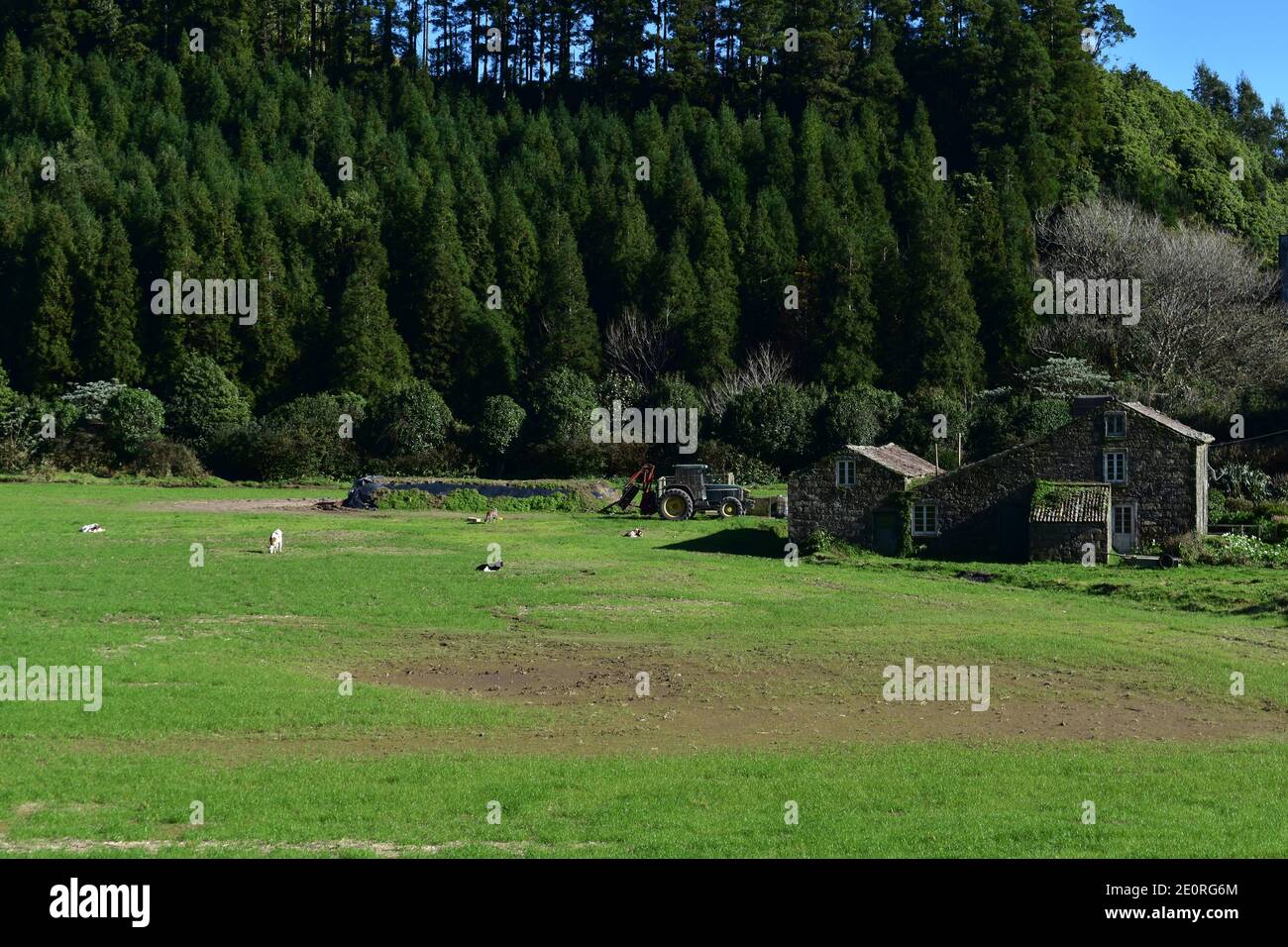 Beautiful stone farm house on Sao Miguel in the Azores Stock Photo - Alamy