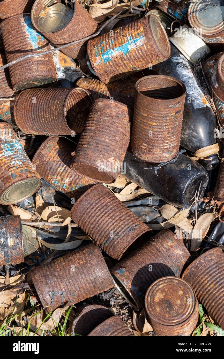 Old rusty cans lie on the ground and dry grass in nature. Pollution and ...
