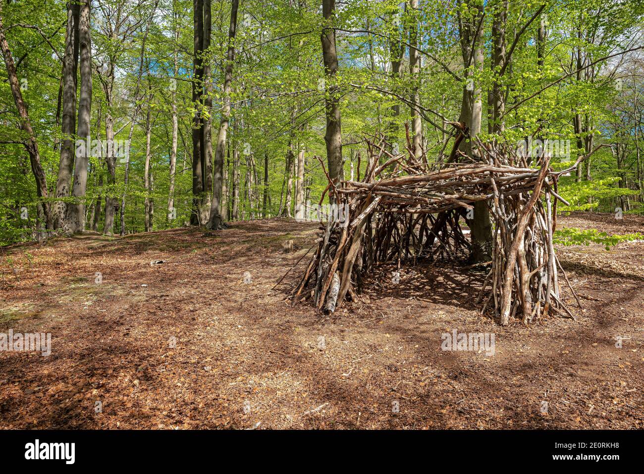 Wooden Cave In The Forest Stock Photo - Alamy