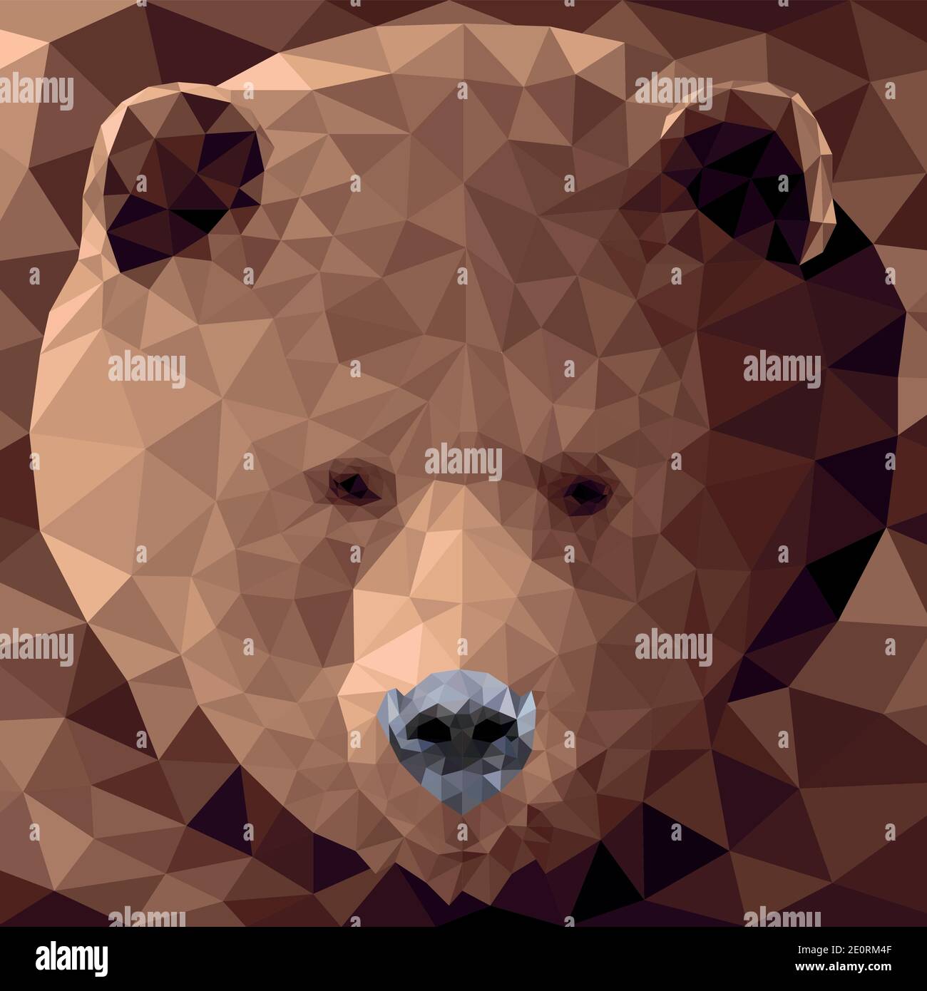 Vector bear in low poly style Stock Vector Image & Art - Alamy