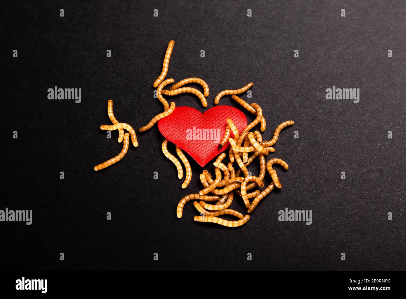 Heart broken background for valentine, rotten by worms metaphor Stock ...